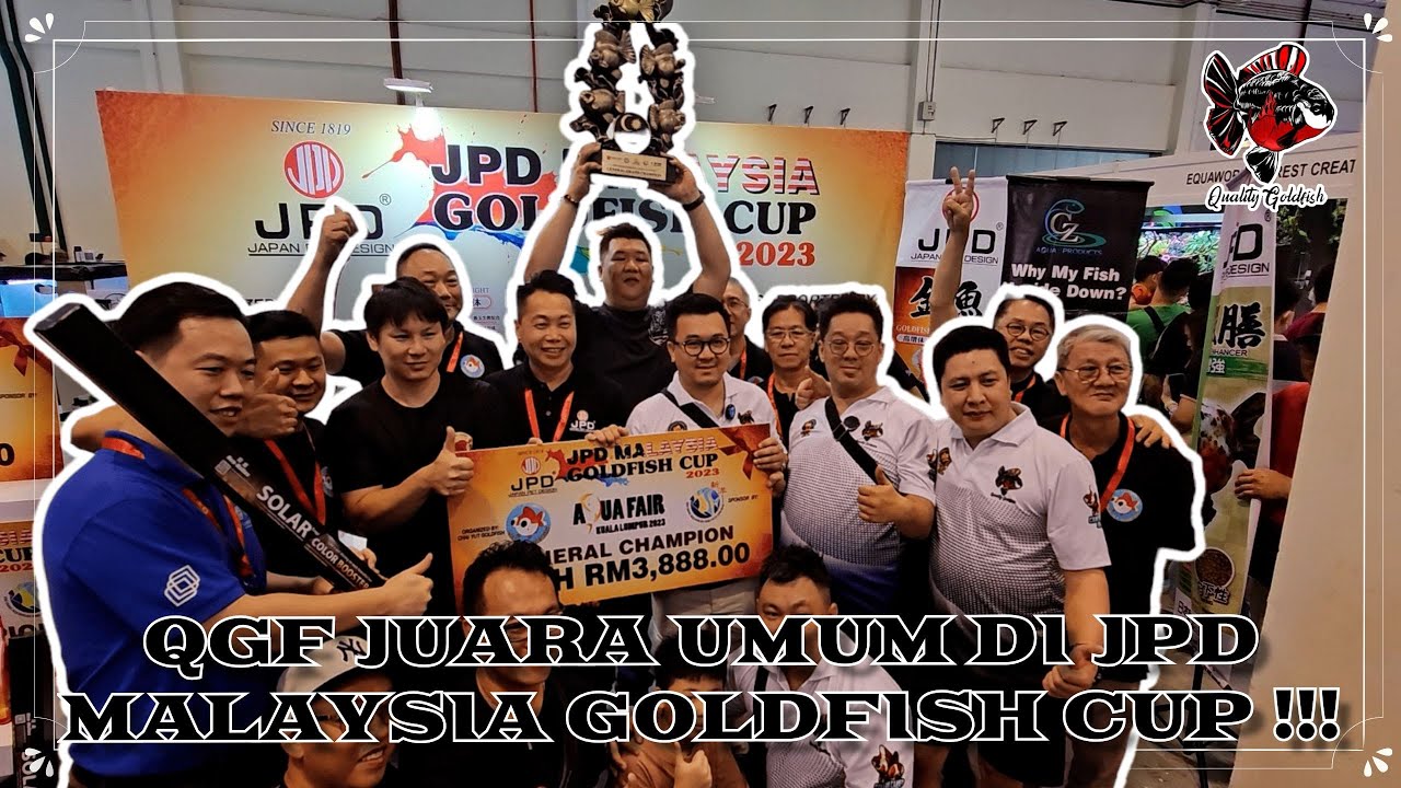 MEMBANGGAKAN !!! QUALITY GOLDFISH MENJADI JUARA UMUM DI JPD GOLDFISH CUP MALAYSIA !!! - YouTube