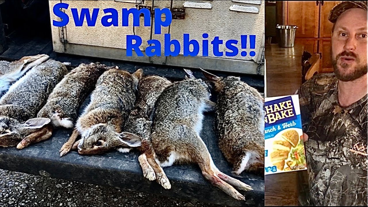 Alabama rabbit cooking! Alabama rabbit expert at the table! - YouTube