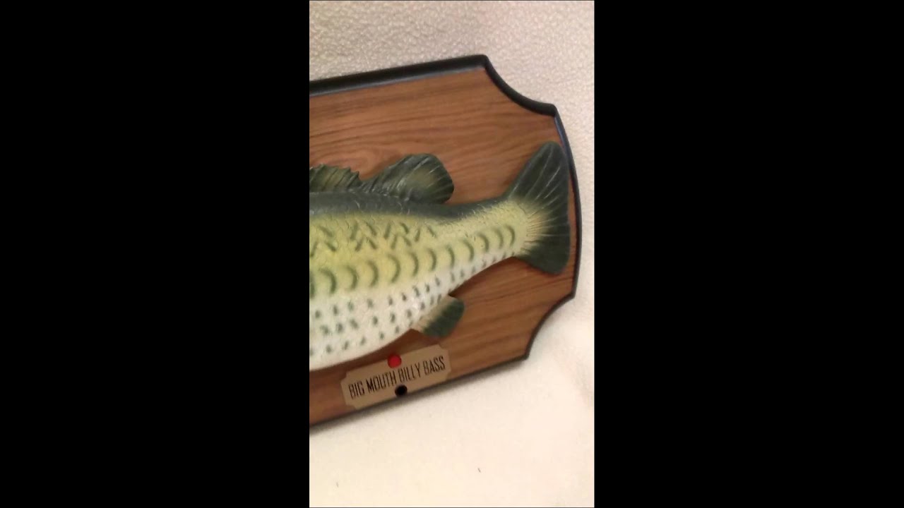 Grammy fish 4 - YouTube