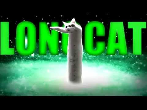 MLG CATS - YouTube