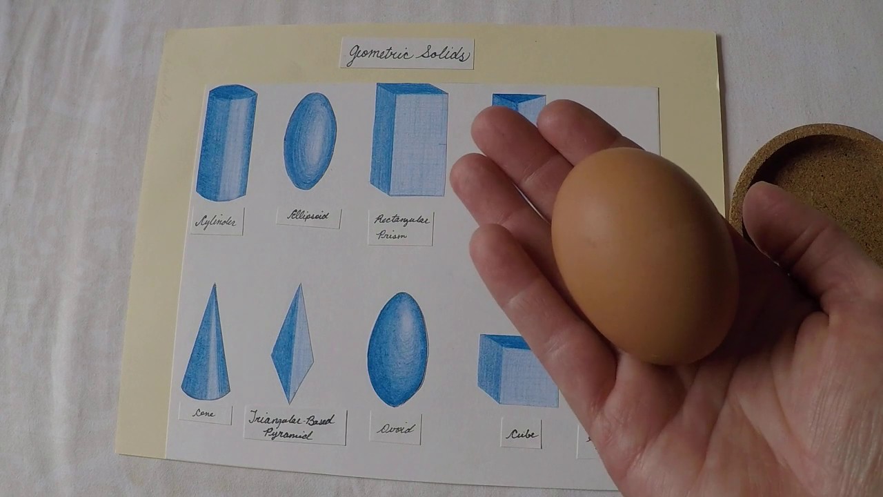 What Shape Is This Egg YouTube What Shape Is This Egg YouTube