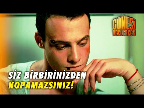 Kerem, Barış'la Kavgasını Behice'ye Anlattı! - Güneşi Beklerken 5. Bölüm