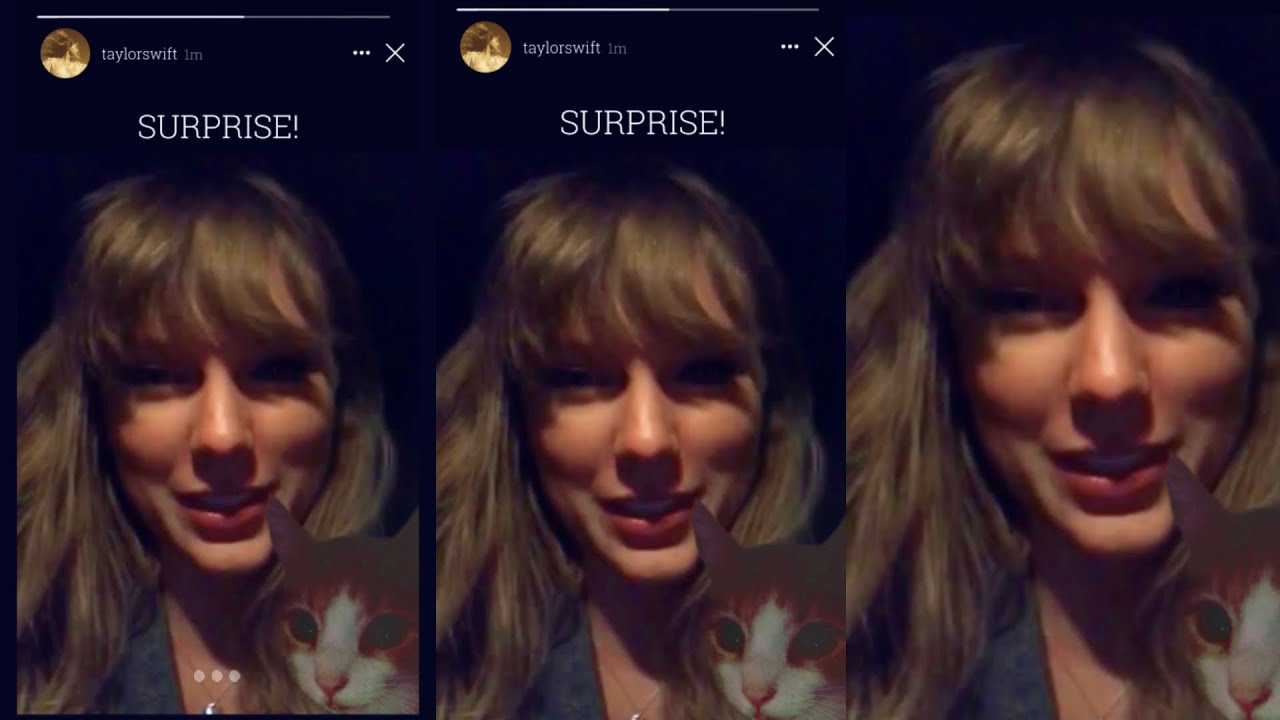 TAYLOR SWIFT HAS A NEW CAT! via IG story - YouTube