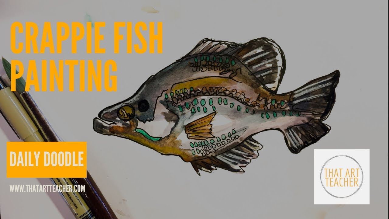 How to Paint a Crappie Fish | Daily Doodle - YouTube