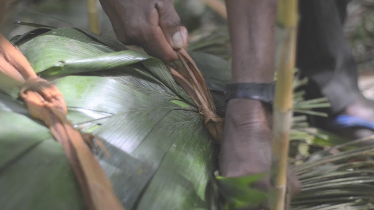 JATATA - A roof made of durable plants - YouTube