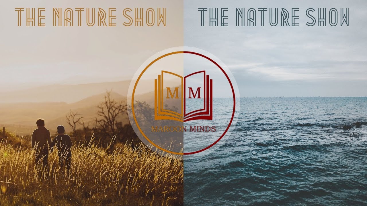 THE NATURE SHOW Featuring the Children's Day 2021 - YouTube