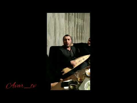 Народная песня | Абдула Магомедчиев🎶