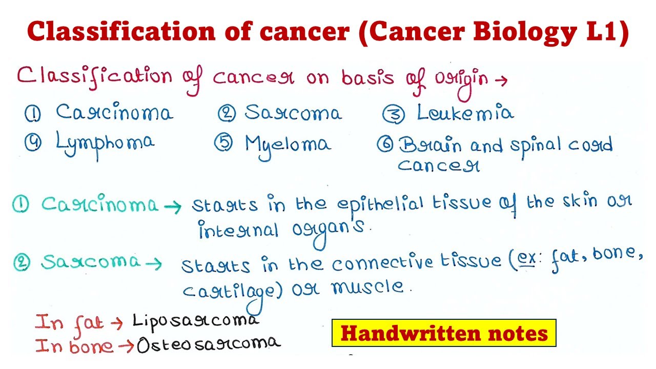 Cancer Biology | Classification of cancer | L1 - YouTube