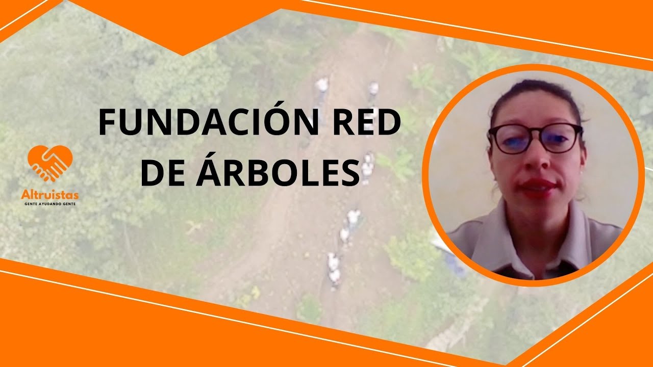 Red de Árboles: nueve años trabajando por la reforestación de zonas ...