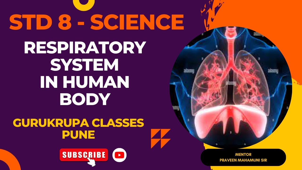 STD 8_General Science_CH-11_Organ System in Human Body_Respiratory ...