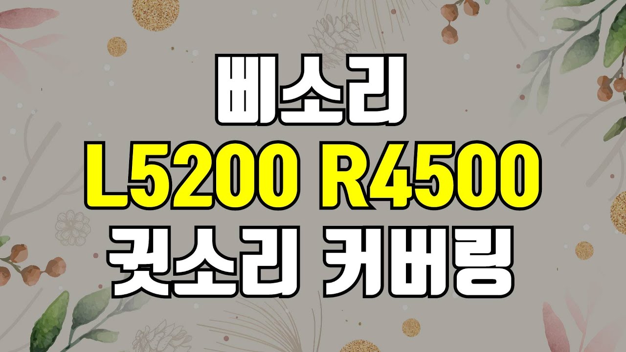 [요청음원] L5200 R4500 삐소리 - 이명 완화 차폐음, 고주파 마스킹 사운드 - YouTube