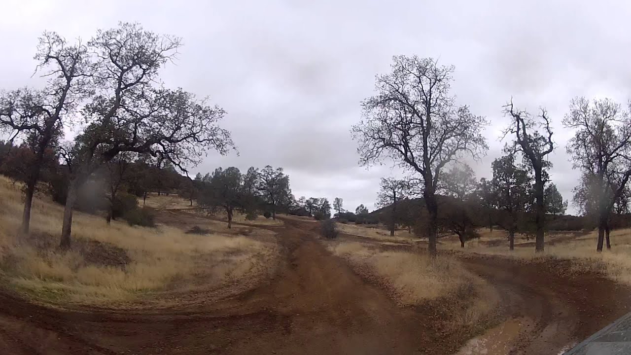 rwild horse ranch after a rain part 1 - YouTube