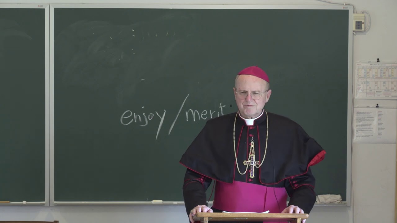 Patience (Part I), by Most Rev. Donald J. Sanborn - YouTube