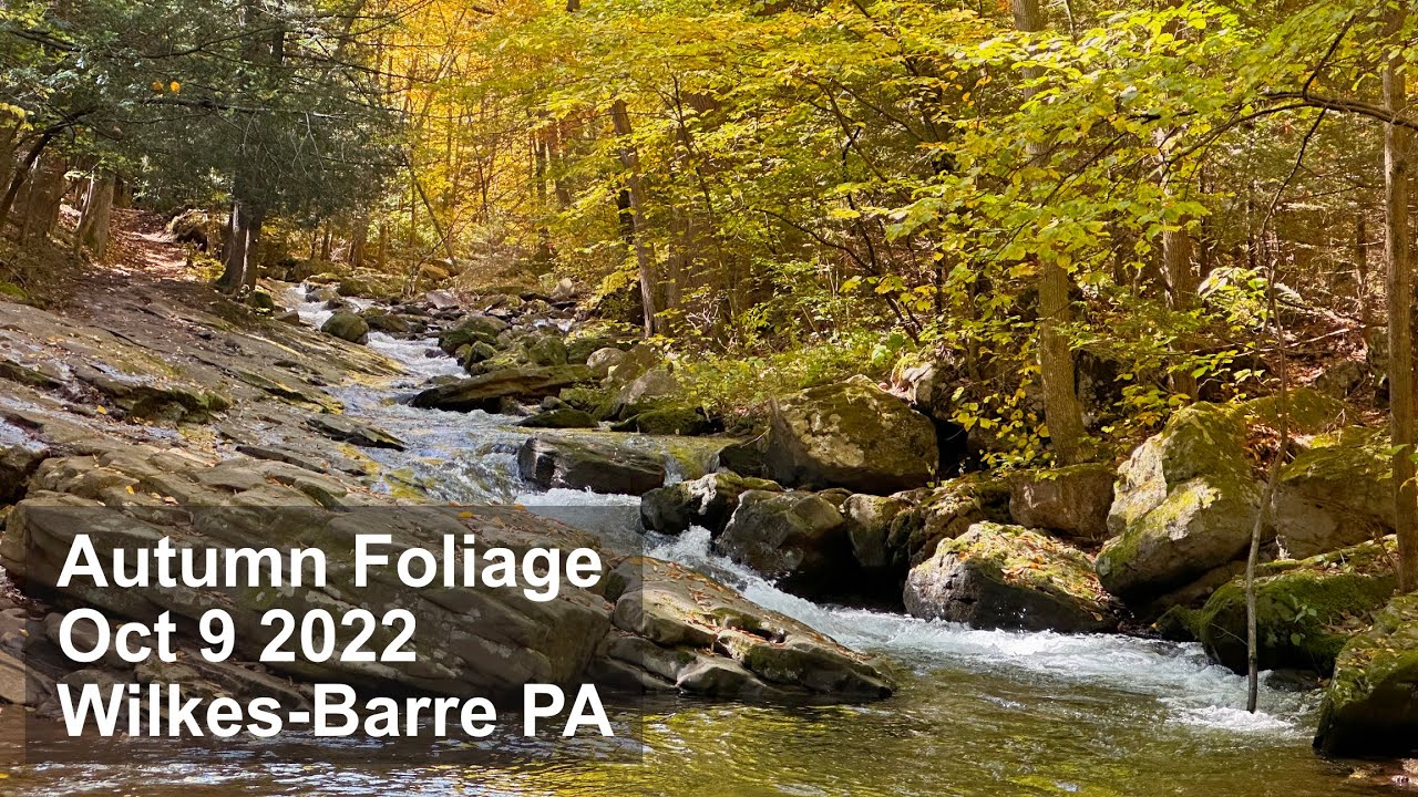 Autumn Hike: Seven Tubs + Audubon Trail in Wilkes-Barre PA! - YouTube