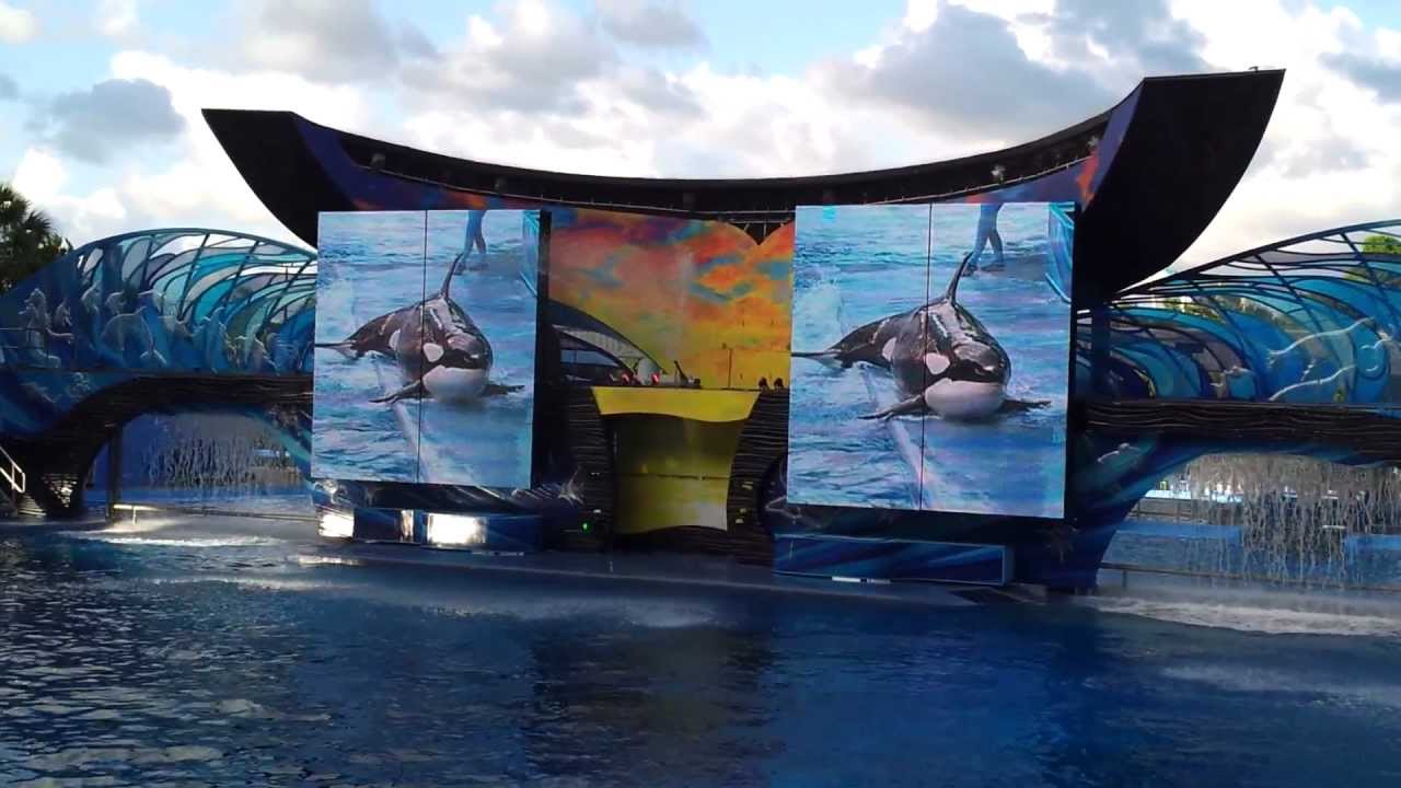 Seaworld, Orlando "One Ocean" (Full HD Show) - YouTube