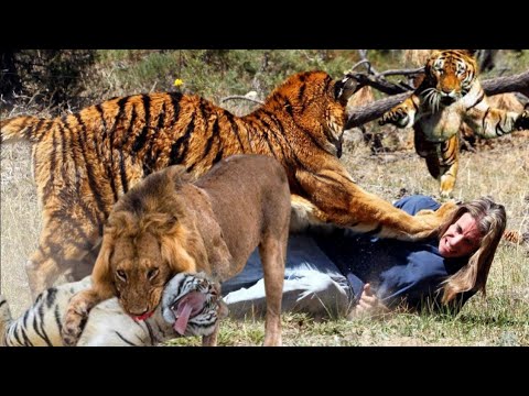 8 times wild animals surround their prey so that they cannot escape ...