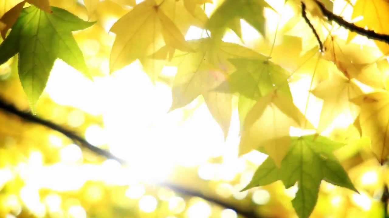 "Happy Dream" by Twisterium - Commercial Background Music Instrumental ...