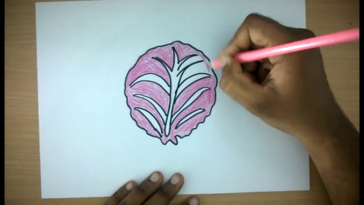 Red Cabbage Drawing