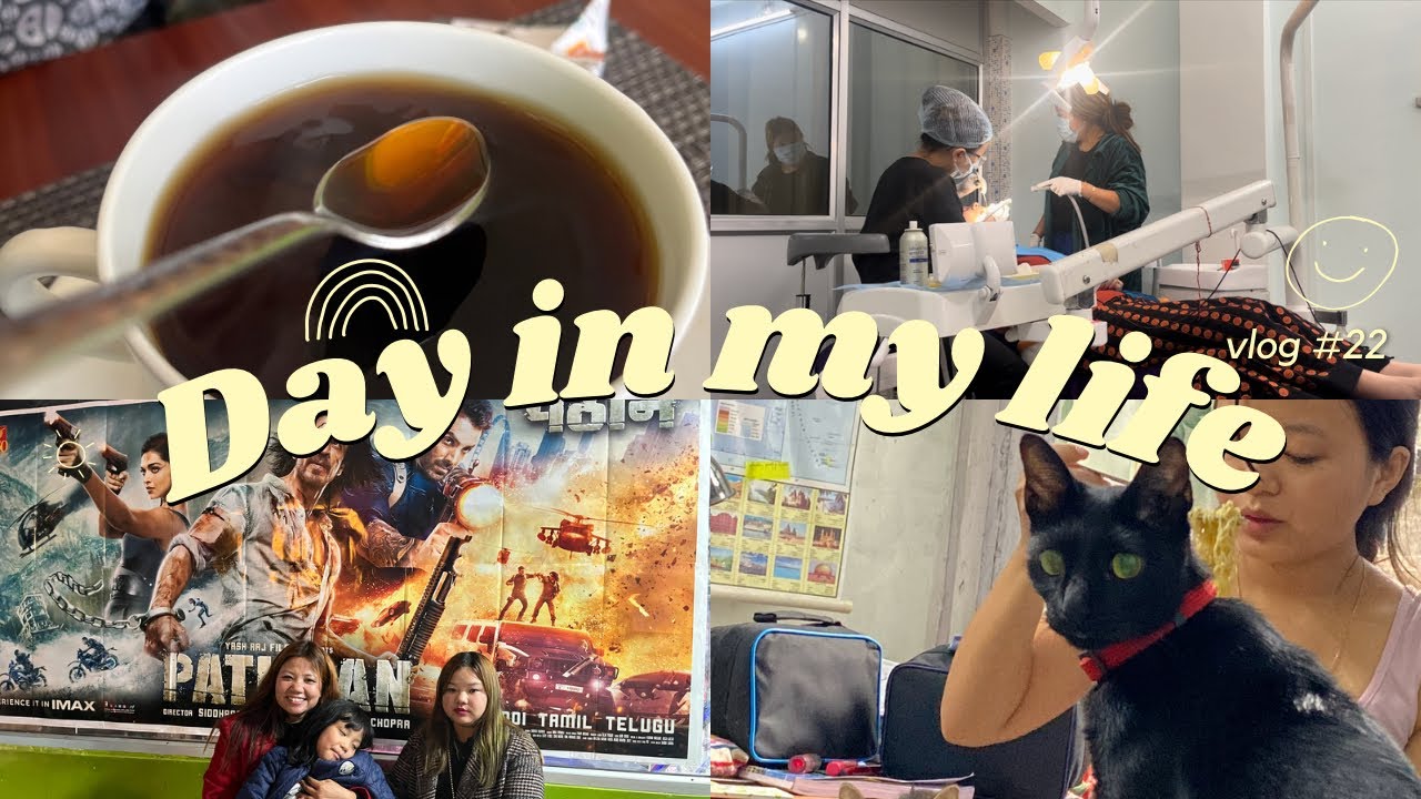 A day in my life | work | cats | pathaan movie review #arunachalpradesh ...