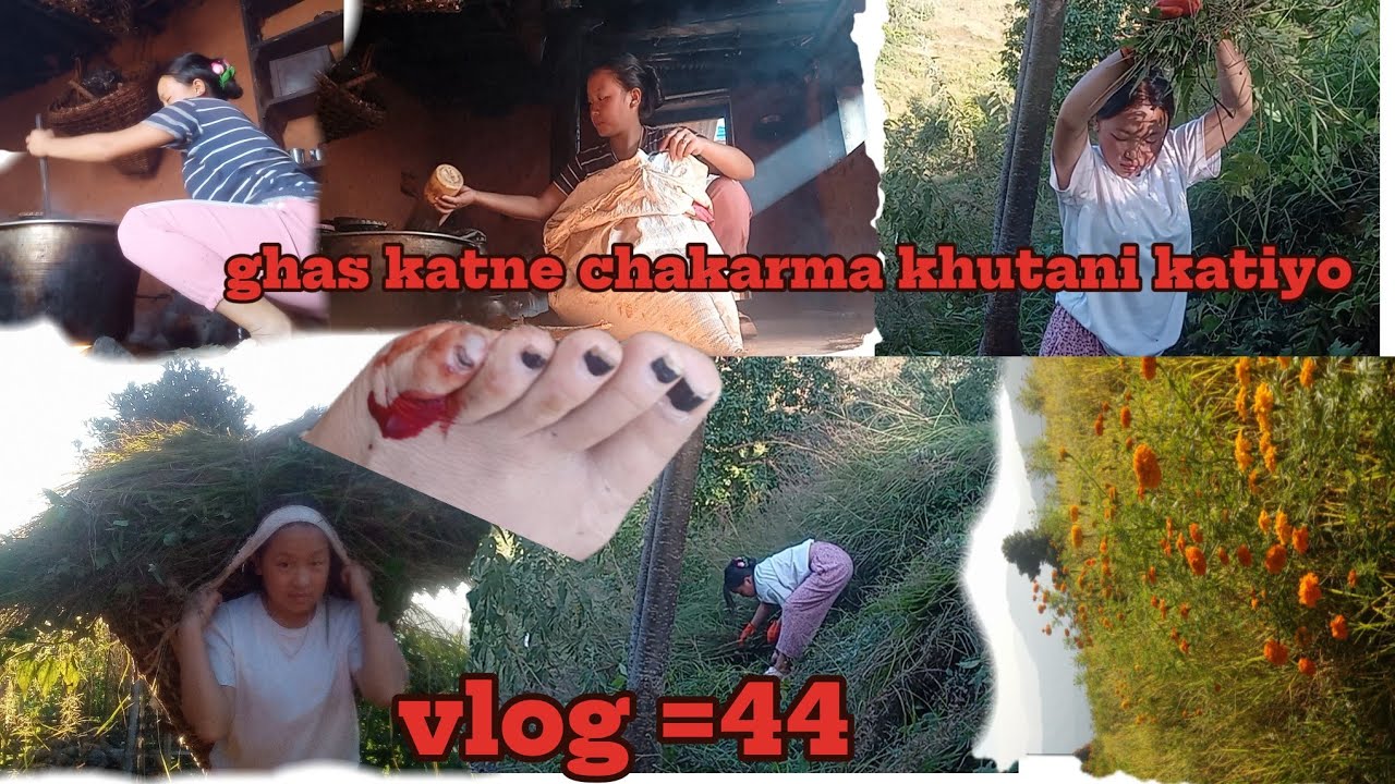 ghas katne chakar ma khuta pani katiyo || jad pani pakaiyo #subscribe # ...