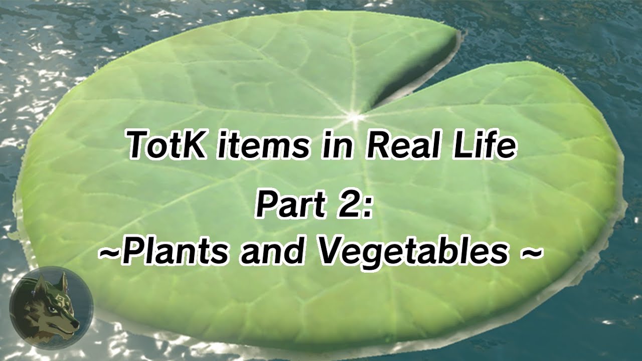 TotK items in Real Life - Part 2: Plants and Vegetables - YouTube