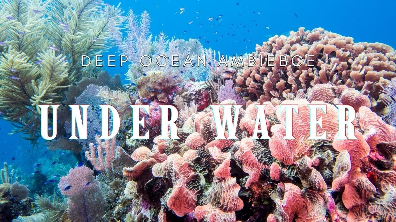 Deep Underwater Ambience - 10 Hour of Water Sounds for Sleep and ...