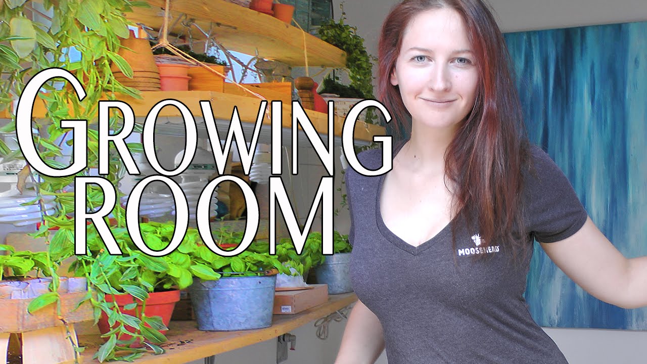 A Tour of my Growing Room & My Collection of Seed Starting Tools and ...