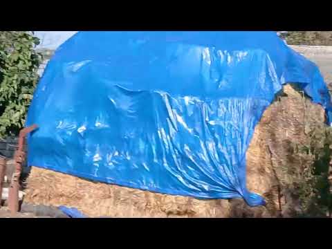 Super həyətyanı yer xaçmaz Qaraçay cek kəndi 20 sot həyətyanı .051 94983 39