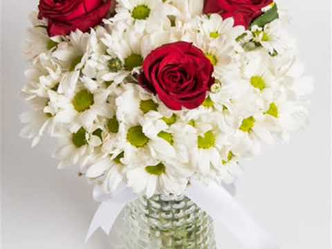 hazırlayan türk oglu aglarım aglarım dinmez gözümün yaşı