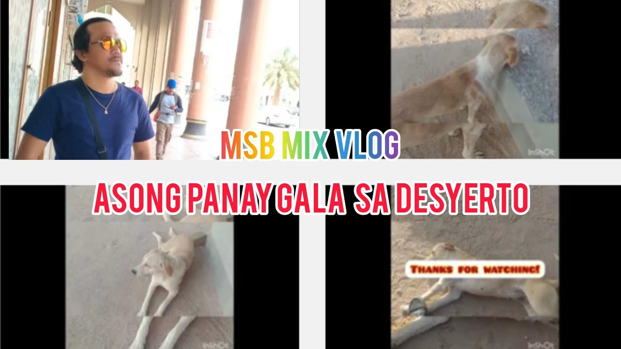 Asong Gala #deserto - YouTube