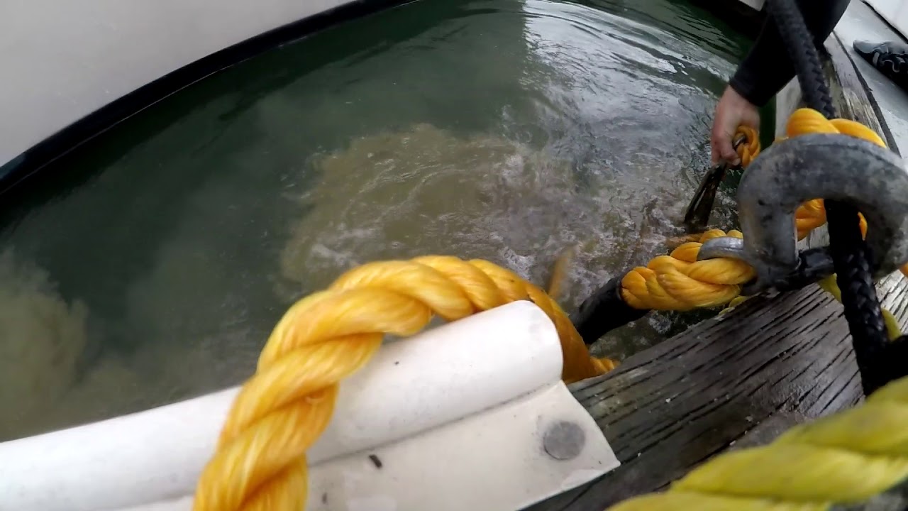 Anchor Chain Recovery Daily Divers Boat Service - YouTube