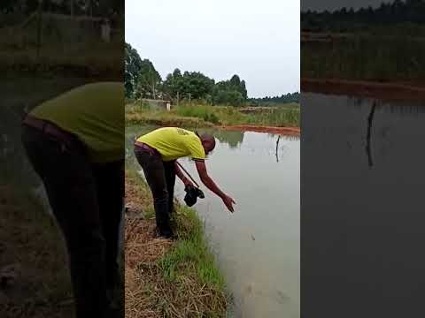 Okulunda Ebyenyanja