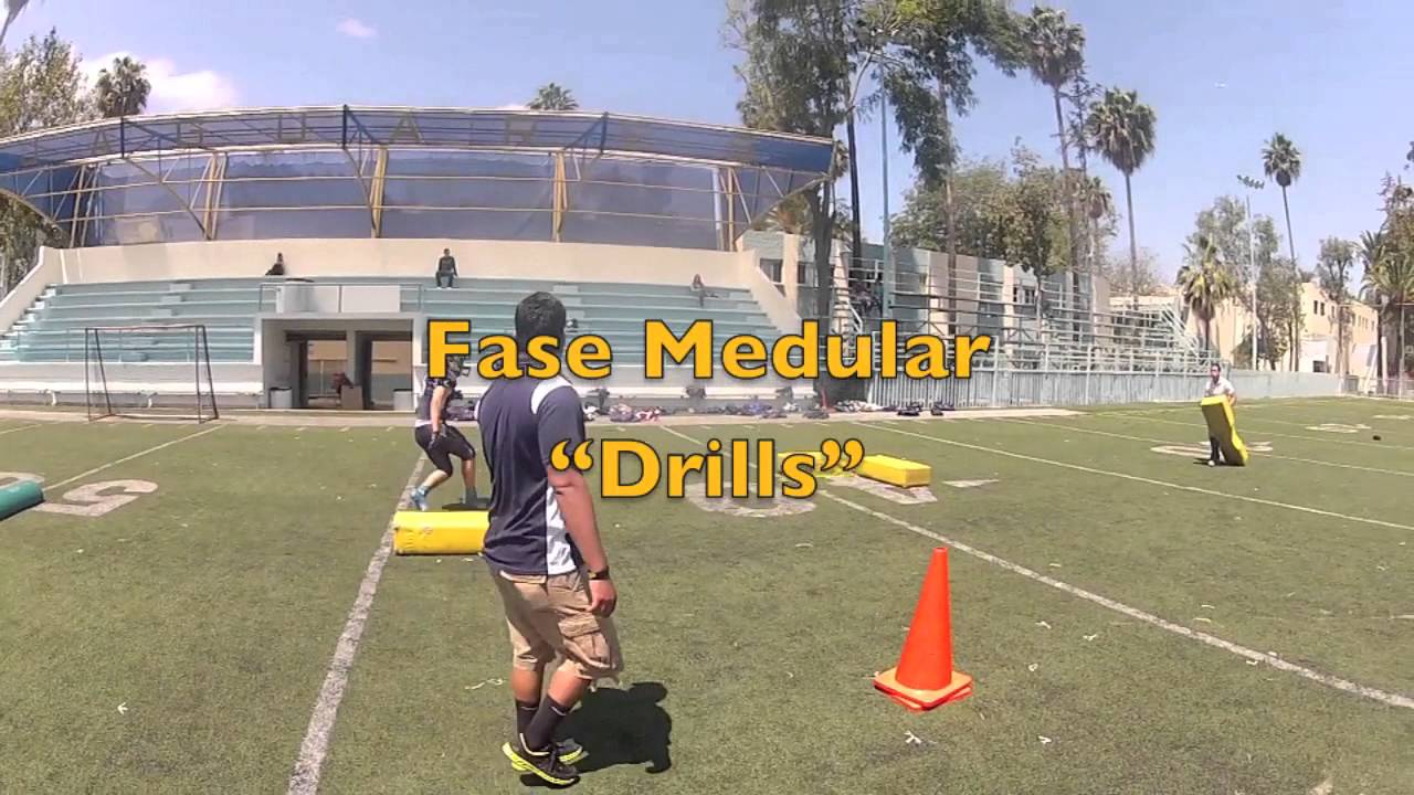 Clase de educacion fisica, sesion de entrenamiento de football ...