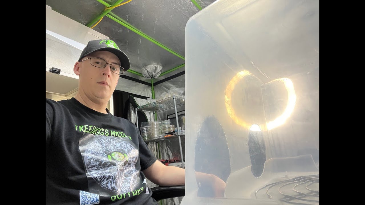 School of Rock’n Agar – Pouring Sterile Movements 101 Pt 1 - YouTube