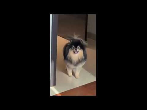 310320 BTS V/TAEHYUNG Whit YEONTAN [ Twitter Video Update ]