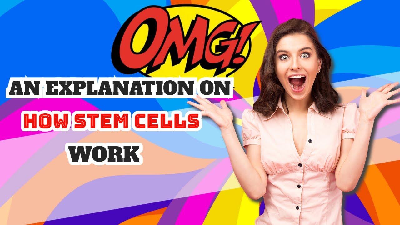 How Stem Cells Work: An Explanation - YouTube