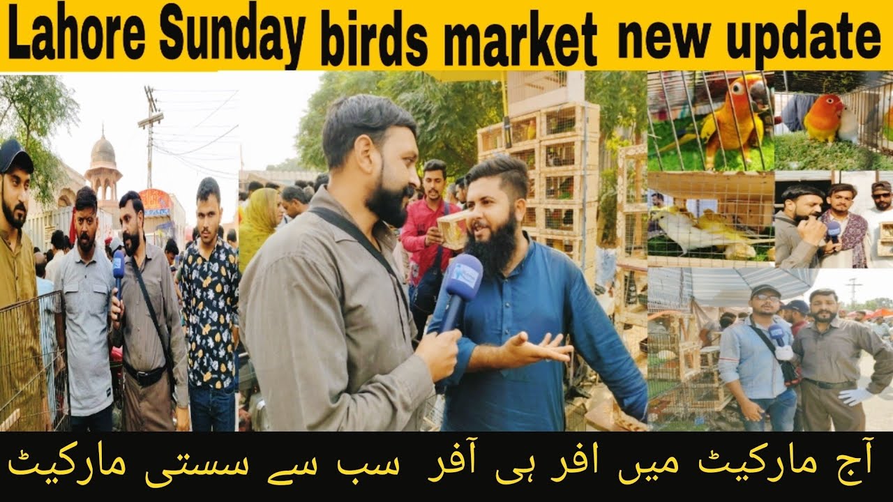 Sunday Birds Matket May Sab Sy Achi Variety Ajj Tu Kamal Ka Mall Sunday ...