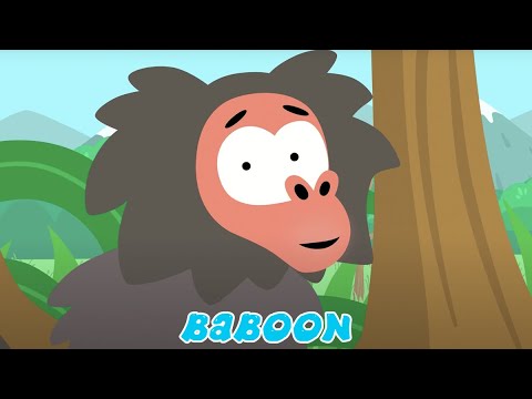 BABOON 🦍🐒 Nursery Songs For Kids 😸 Meow Meow Kitty Song - YouTube