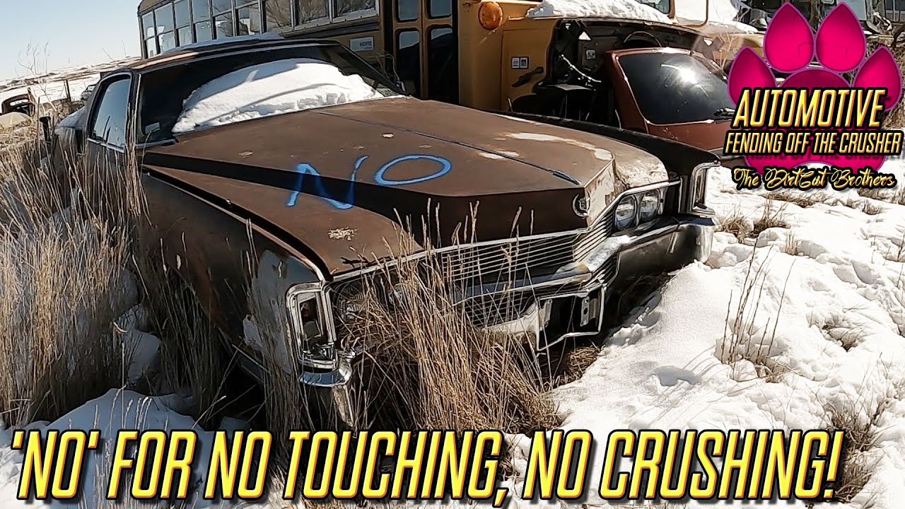 Marking The Cars We Bought To Fend Off The Crusher - YouTube