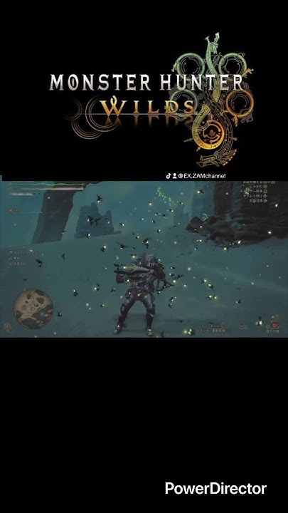 大雷光虫＋砂嵐＝迷走#モンハンワイルズ#mhws - YouTube