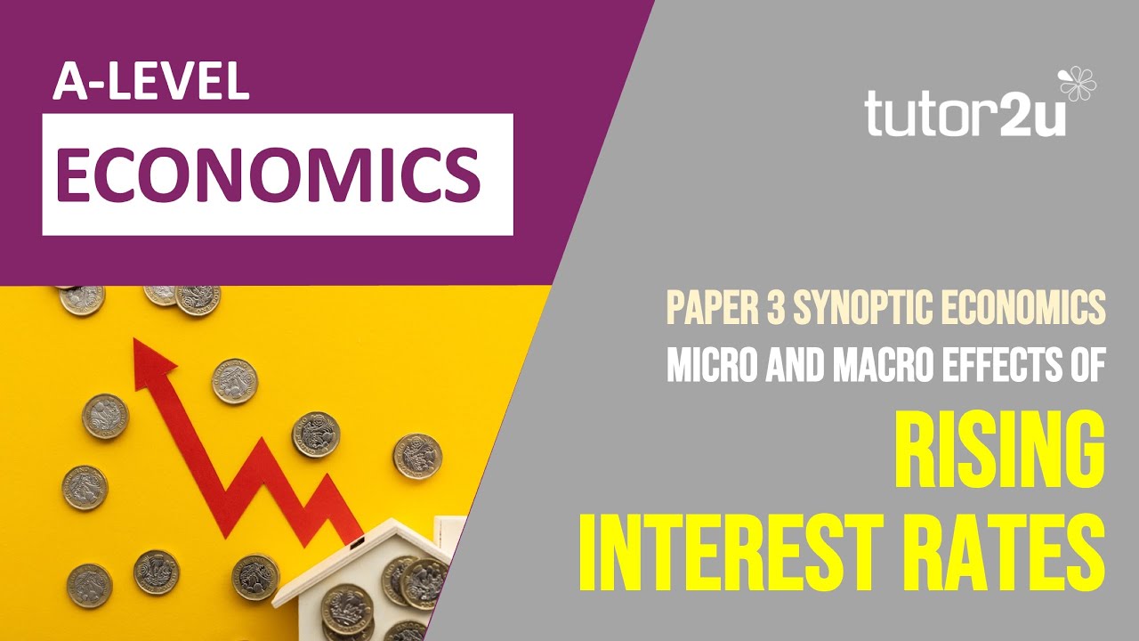Micro and Macro Aspects of Rising Interest Rates | Synoptic Paper 3 | A ...