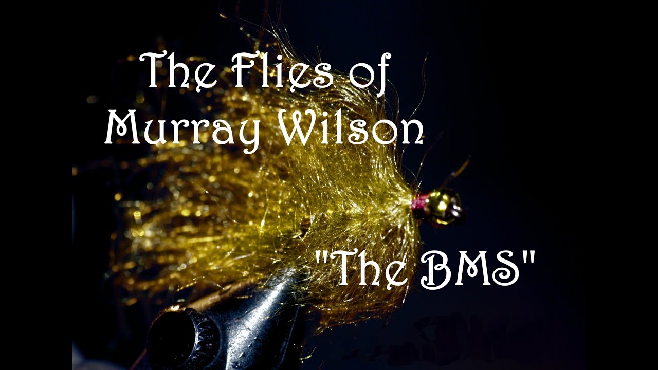 Murray Wilson's BMS - YouTube