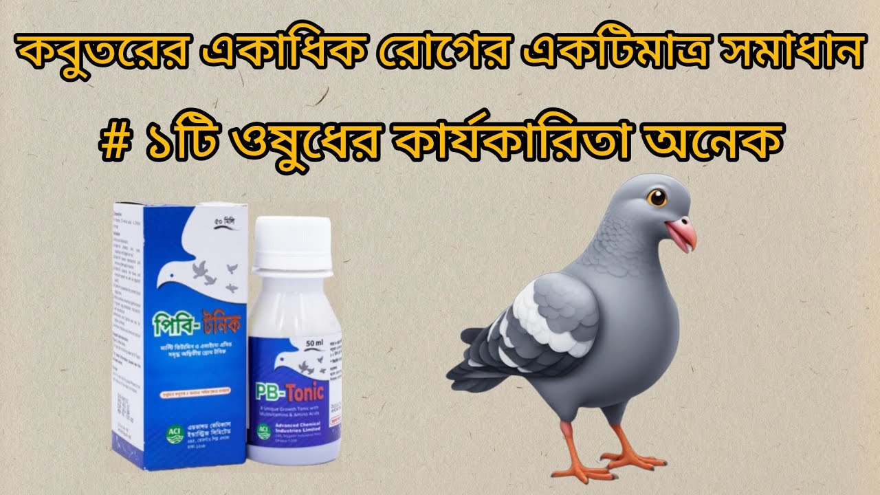 ACI PB সিরিজের অন্যতম একটি কার্যকরী মেডিসিন PB-Tonic | Very Good Tonic ...