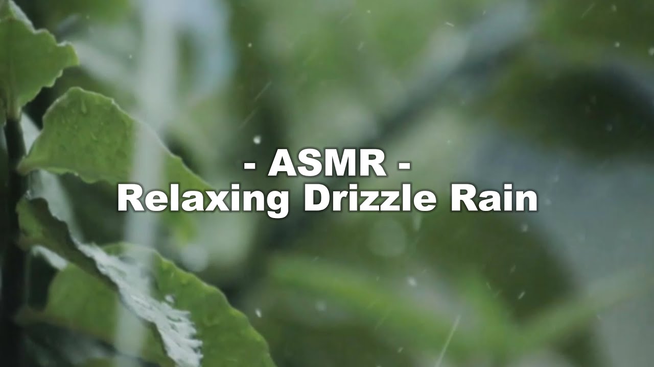 ASMR - Relaxing Drizzle Rain - YouTube