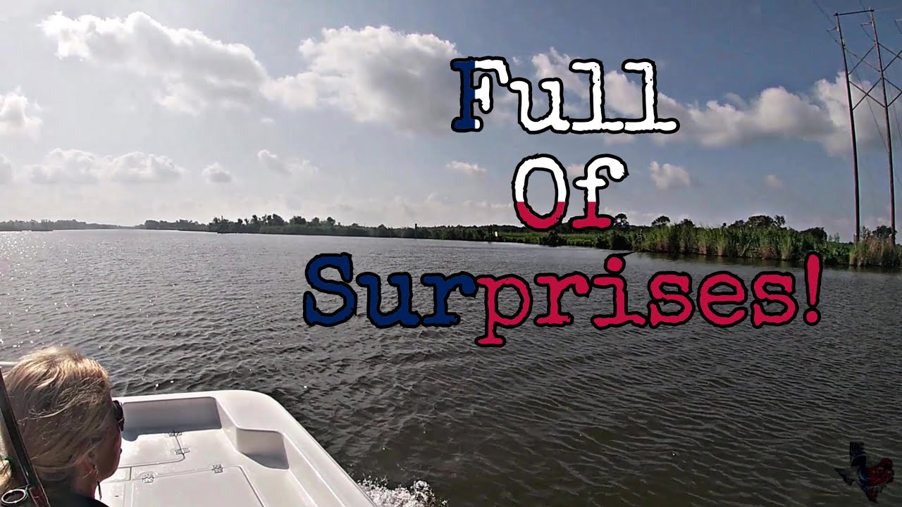 Fishing In The Bayou Turns Up Multiple Surprising Species! - YouTube