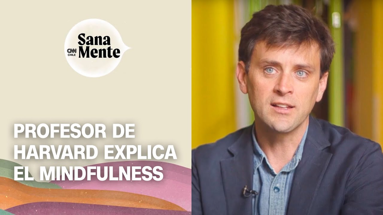 Christopher Willard, profesor de Harvard, nos explica los beneficios ...