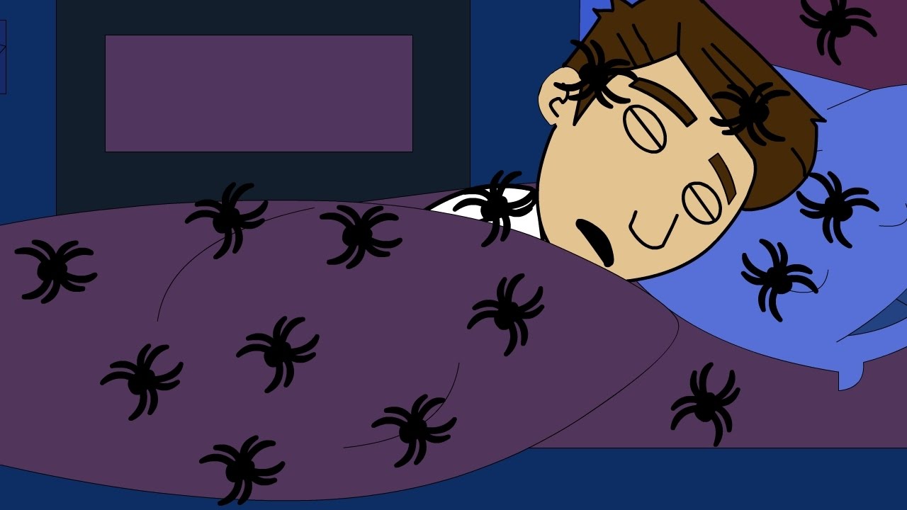 Eating Spiders In Your Sleep (Animation Short) - YouTube