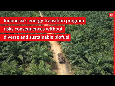 Diverse, sustainable biofuels crucial for Indonesia’s energy transition ...