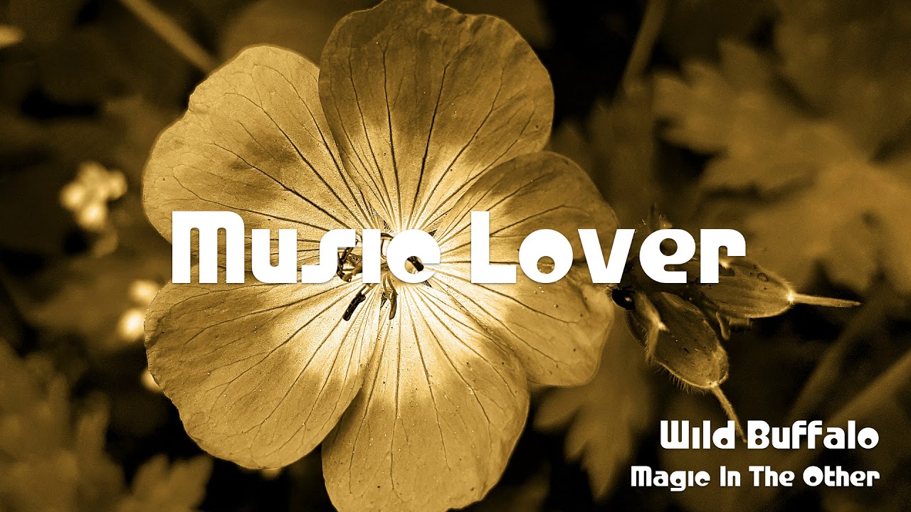 🎵 Wild Buffalo - Magic In The Other 🎧 No Copyright Music 🎶 YouTube ...