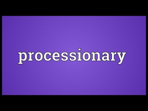 What Is The Meaning Of Processionary Caterpillars